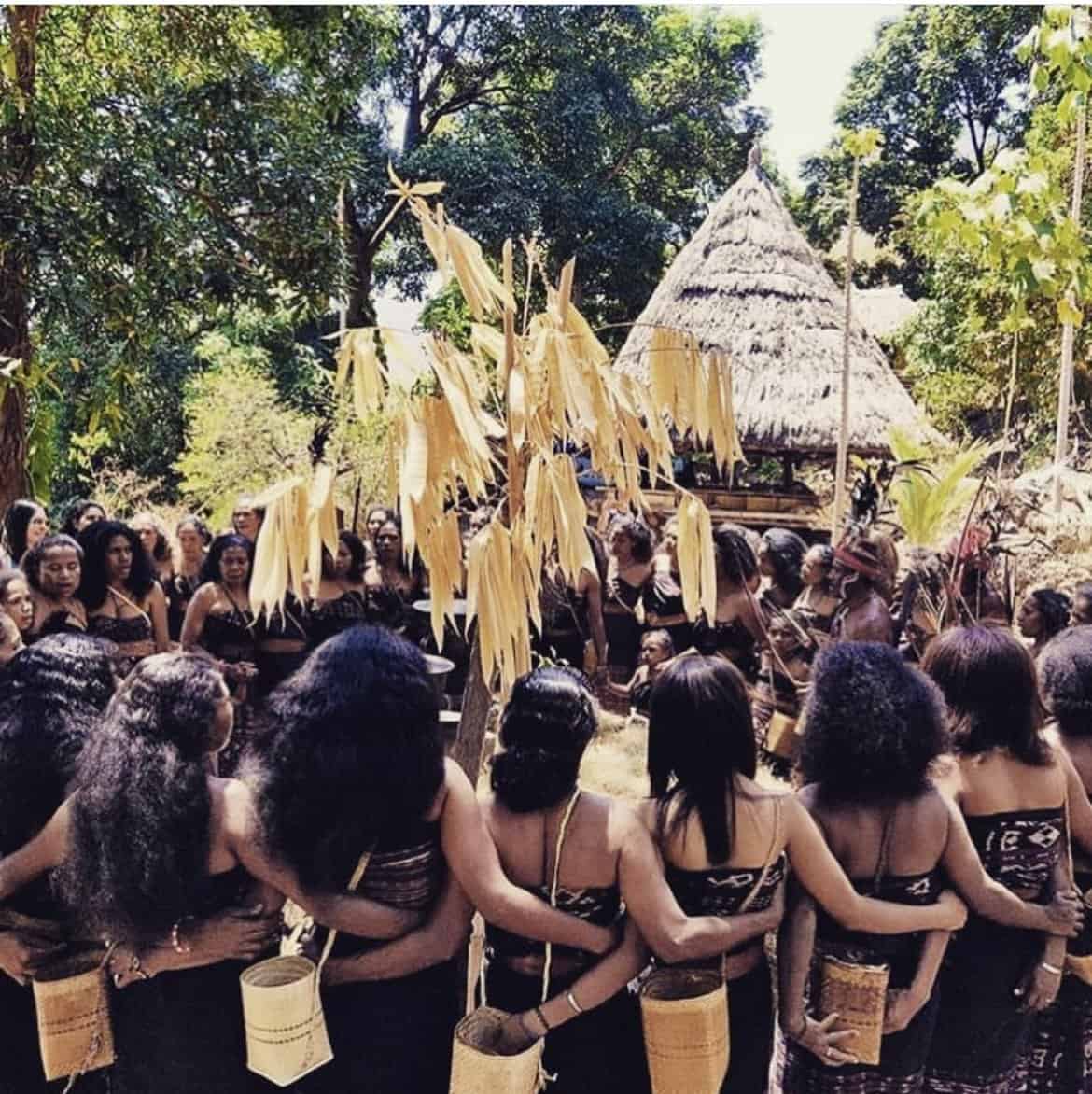 Alor Tanapi Dive Resort | Ocean Earth Travels Indonesia