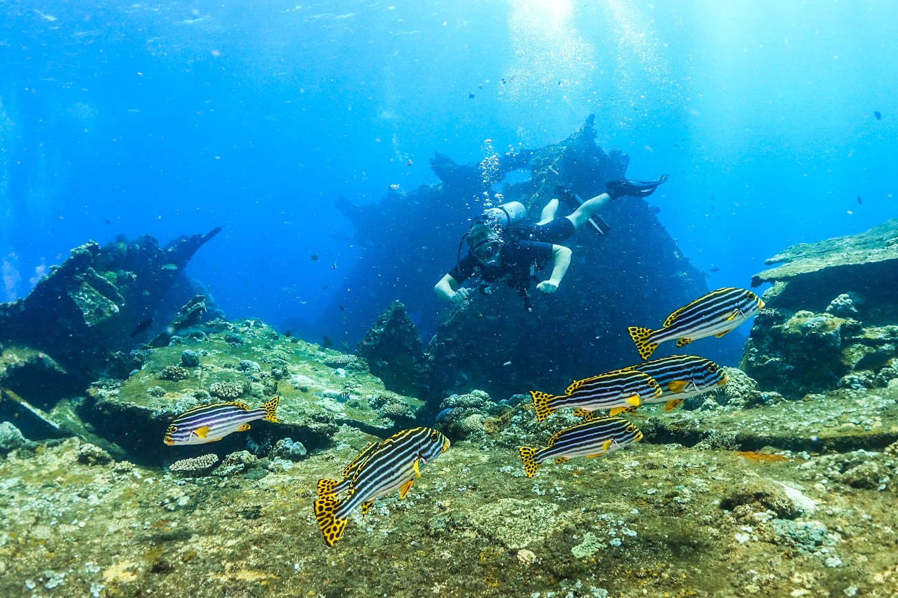 The USAT Liberty Wreck – History of Bali's Most Popular Dive Site ...