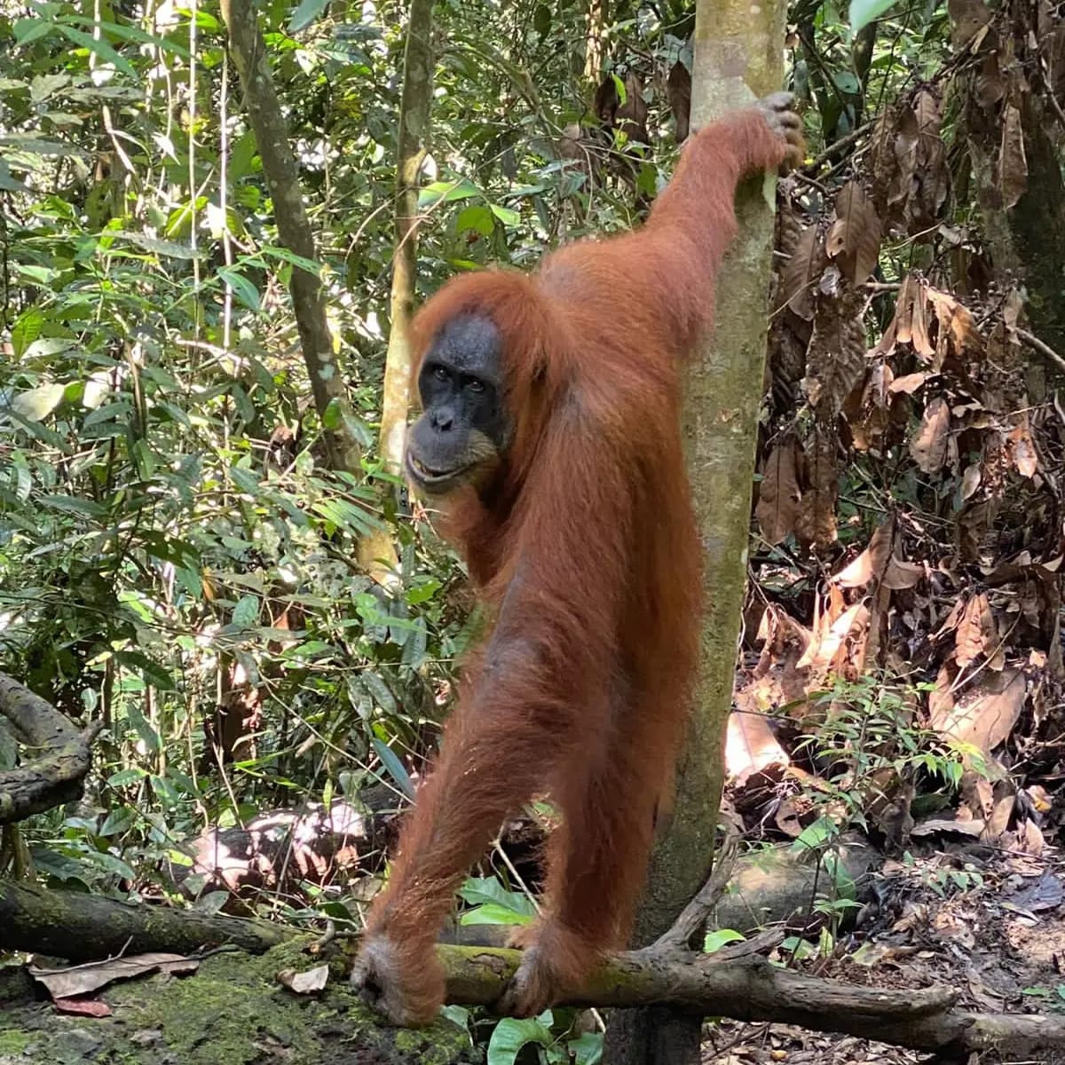 Destination Sumatra | Ocean Earth Travels Indonesia