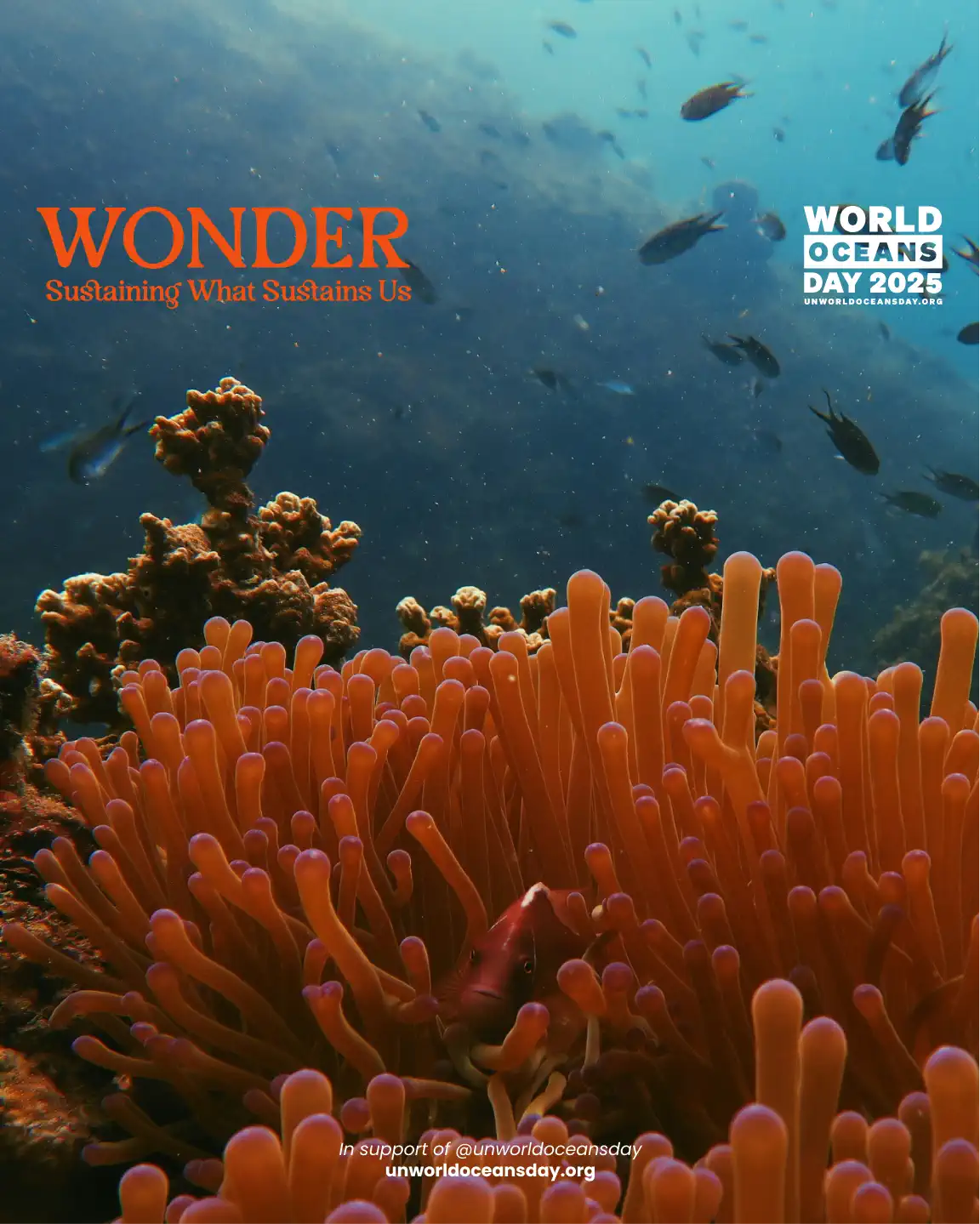 World Oceans Day 2025: Sustaining the Wonder that Sustains Us